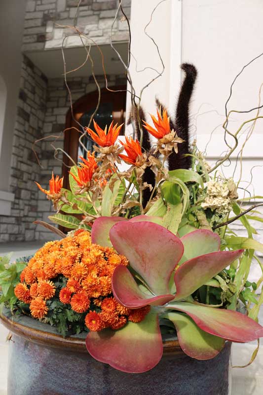 Best Ideas for Outdoor Fall Decor in St. Louis | Quiet Village Landscaping