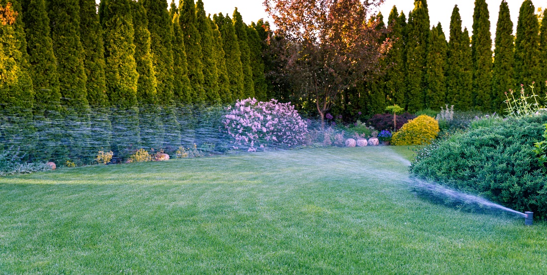 Effortless Watering: Smart Irrigation Systems Save Time & Money | Quiet ...